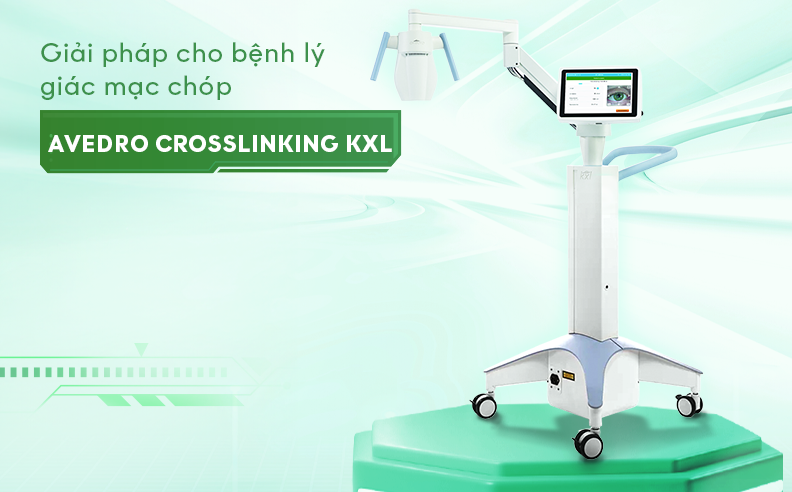 AVERO CROSSLINKING KXL - Bệnh Viện Mắt Sài Gòn